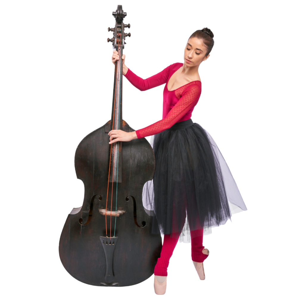 Ballare Malhas - Tudo para quem vive em dança